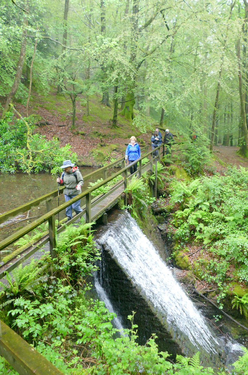 Yoga and Walking Weekend at Coniston in the Lake District - Organic ...