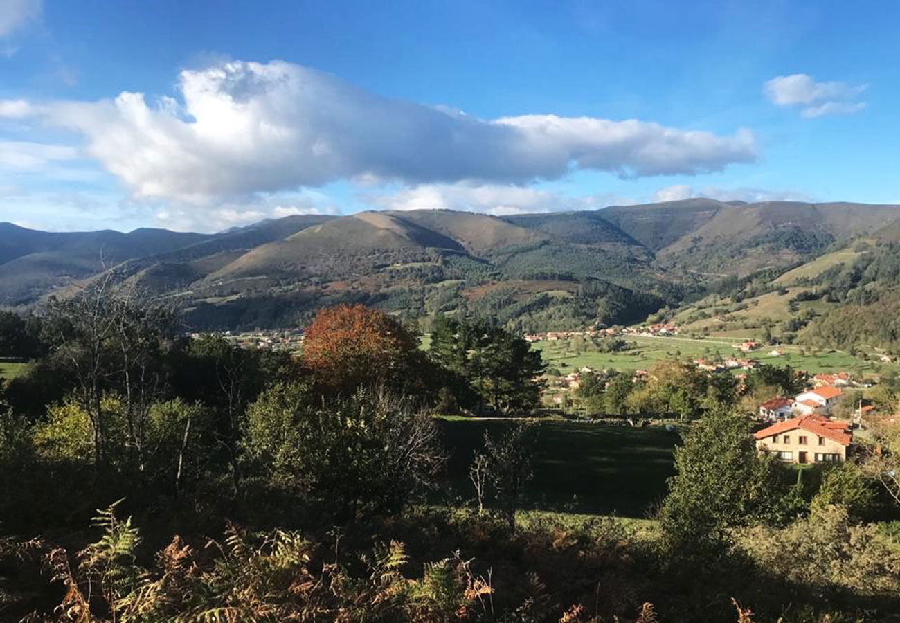 Yoga and Walking Week in Agara, Northern Spain 2025 - Organic Bliss Yoga